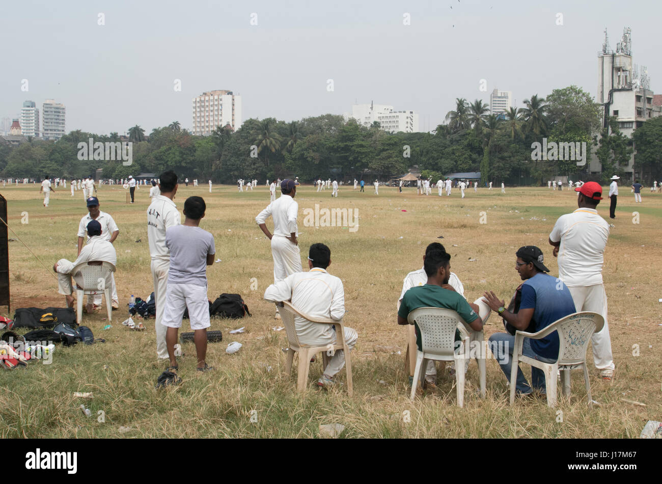 Men playing cricket on Oval Maidan, in Mumbai,India Stock Photo - Alamy