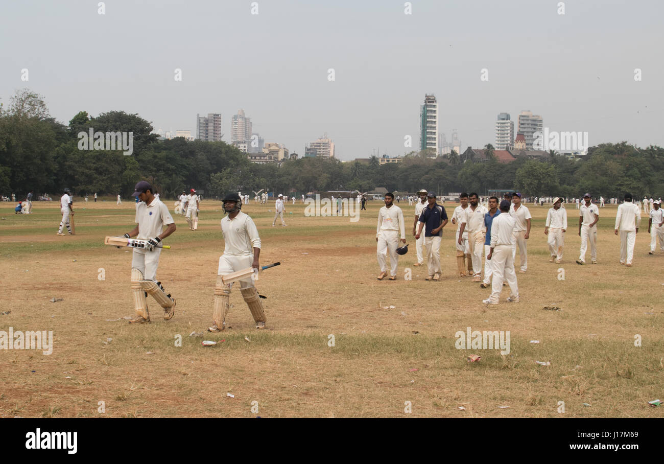 Men playing cricket on Oval Maidan, in Mumbai,India Stock Photo - Alamy