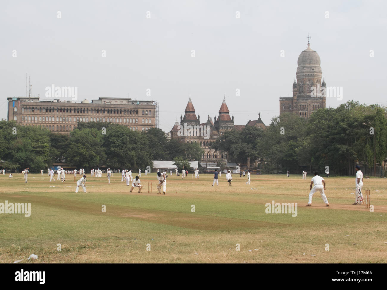 Men playing cricket on Oval Maidan, in Mumbai,India Stock Photo - Alamy