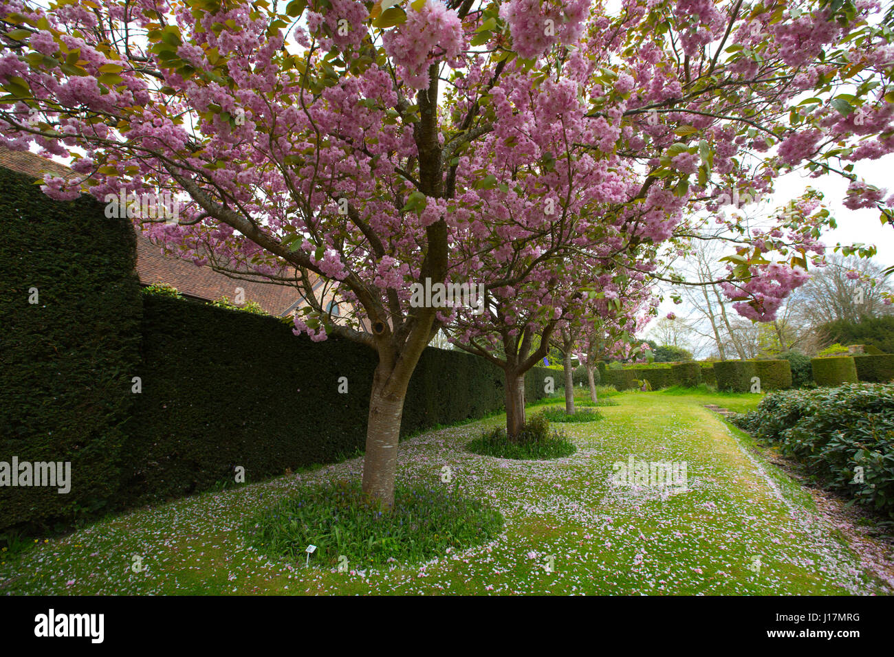 Hinton Ampner House, stately home with gardens within the civil parish ...