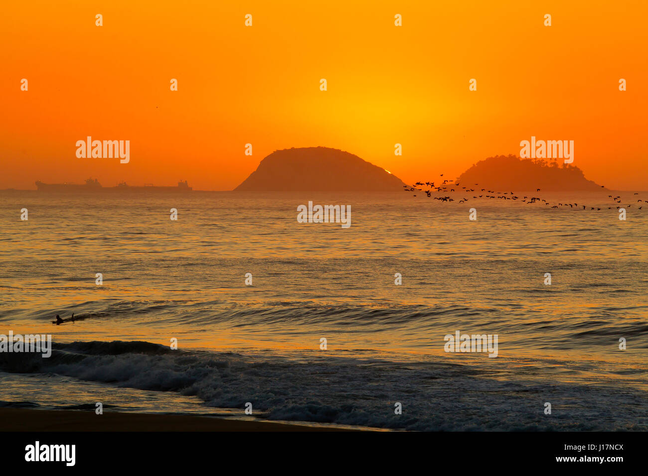 Flying birds on beach hi-res stock photography and images - Alamy