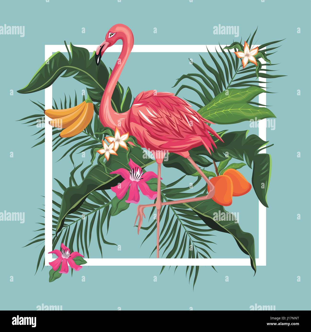 flamingo bird mango banana leaves exotic tropical Stock Vector Image ...