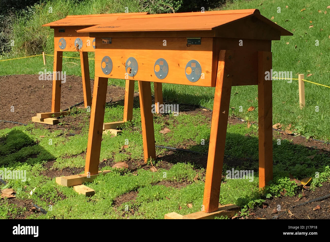 Beehives Structure High Resolution Stock Photography and Images - Alamy