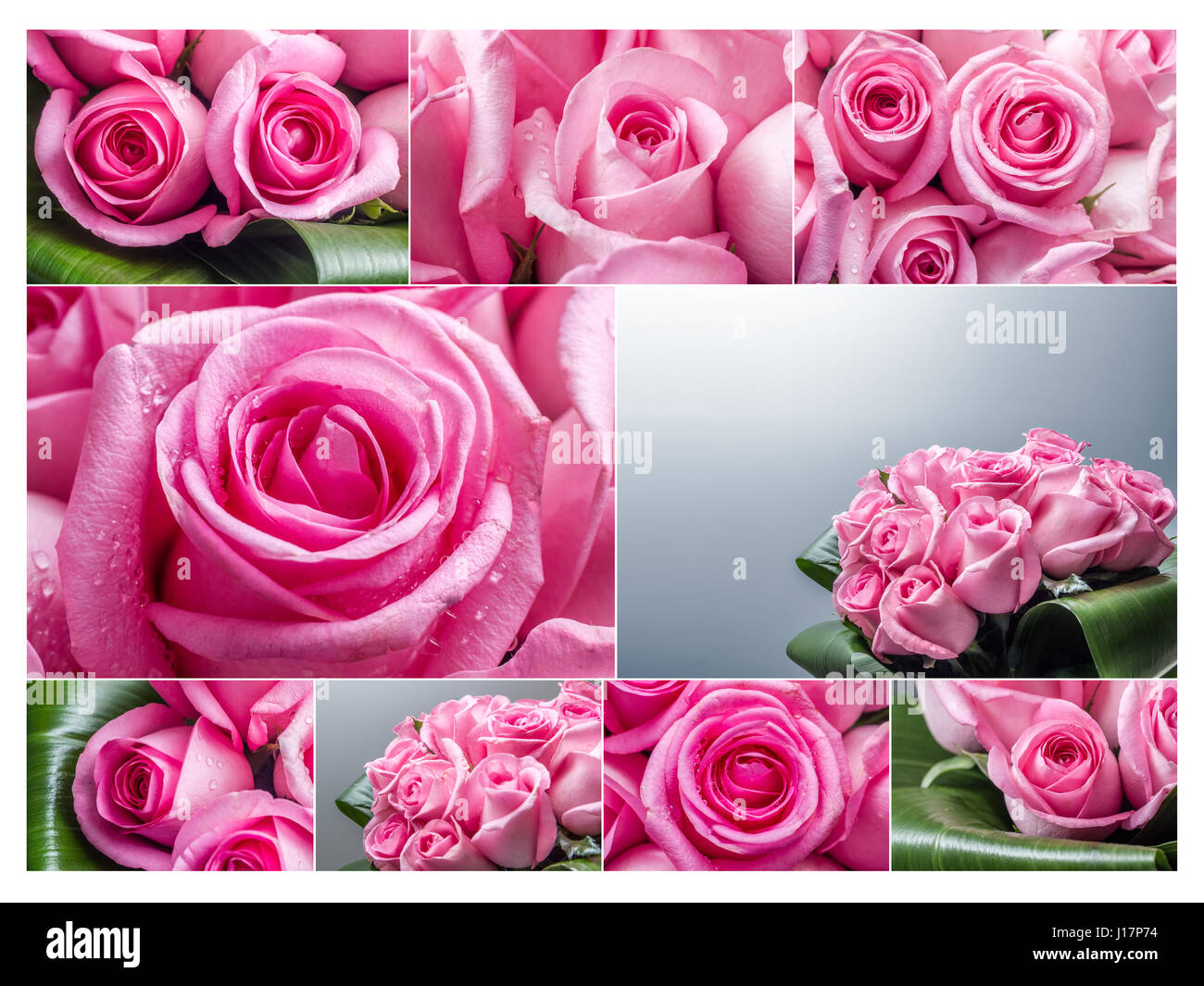 Beautiful roses collage hi-res stock photography and images - Alamy