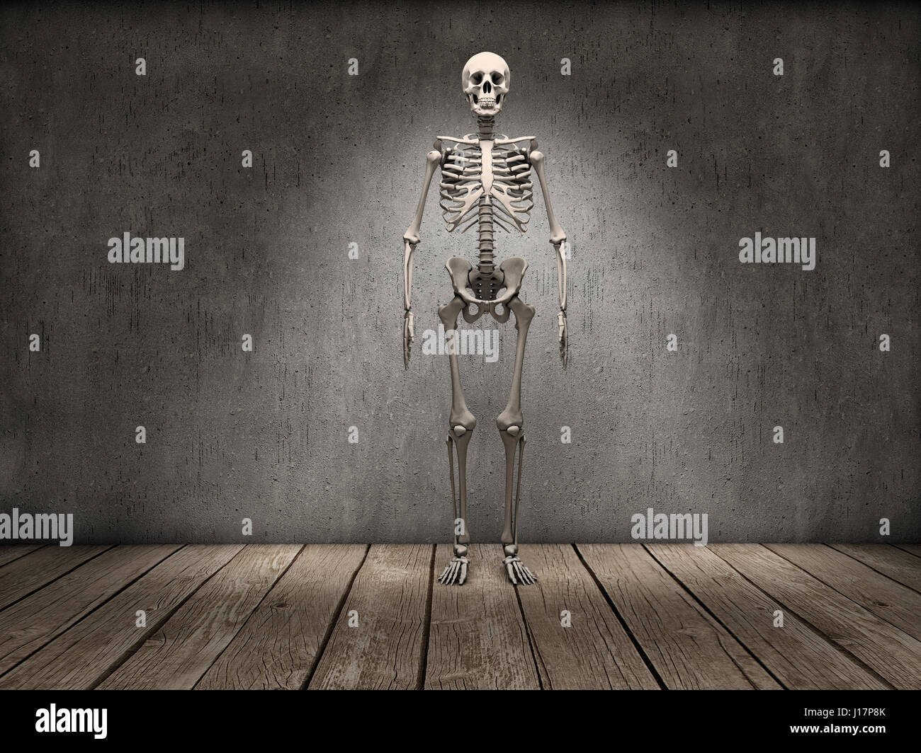 3d full skeleton hi-res stock photography and images - Alamy