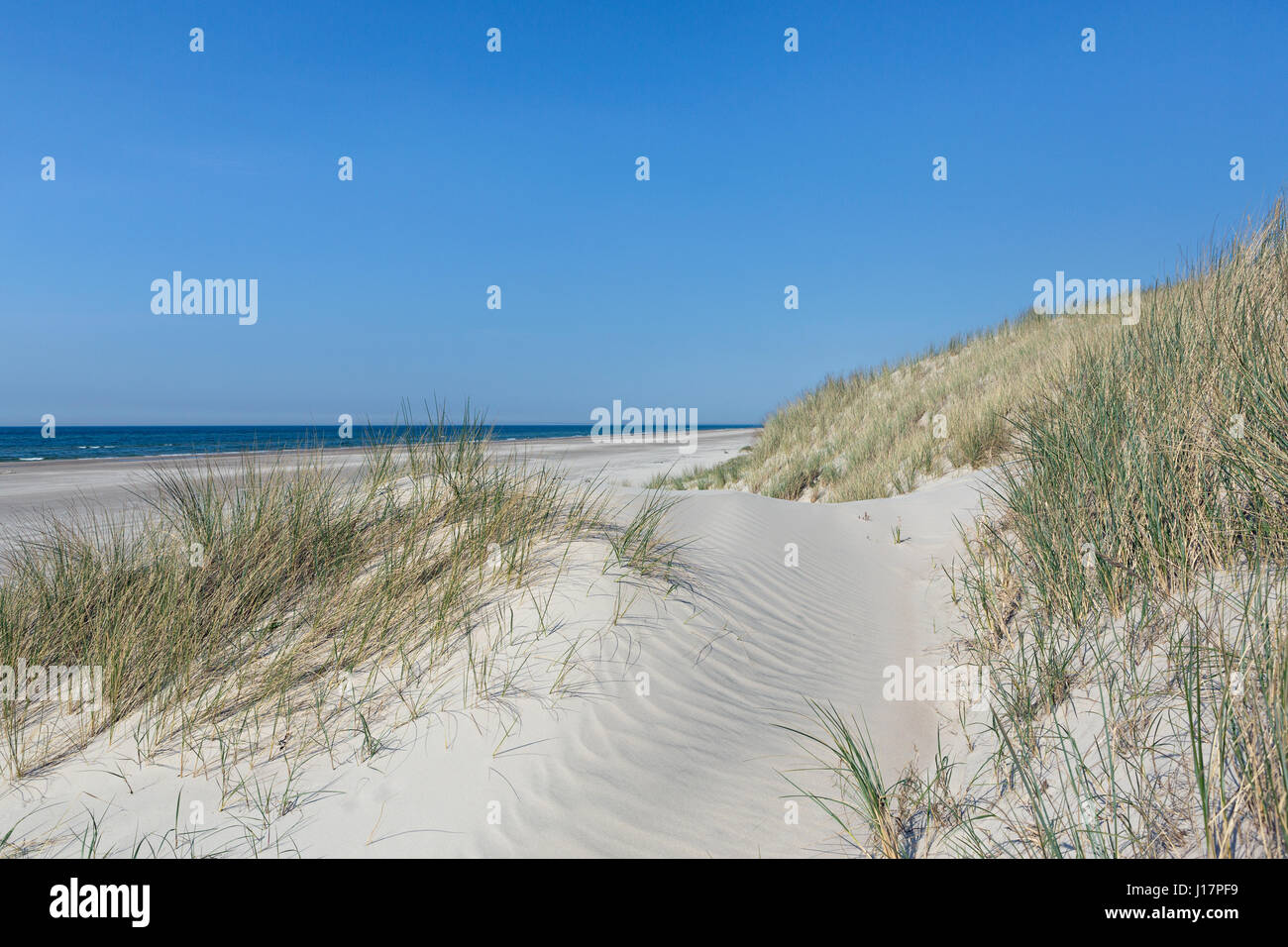 View from the dunes to the sea Stock Photo - Alamy