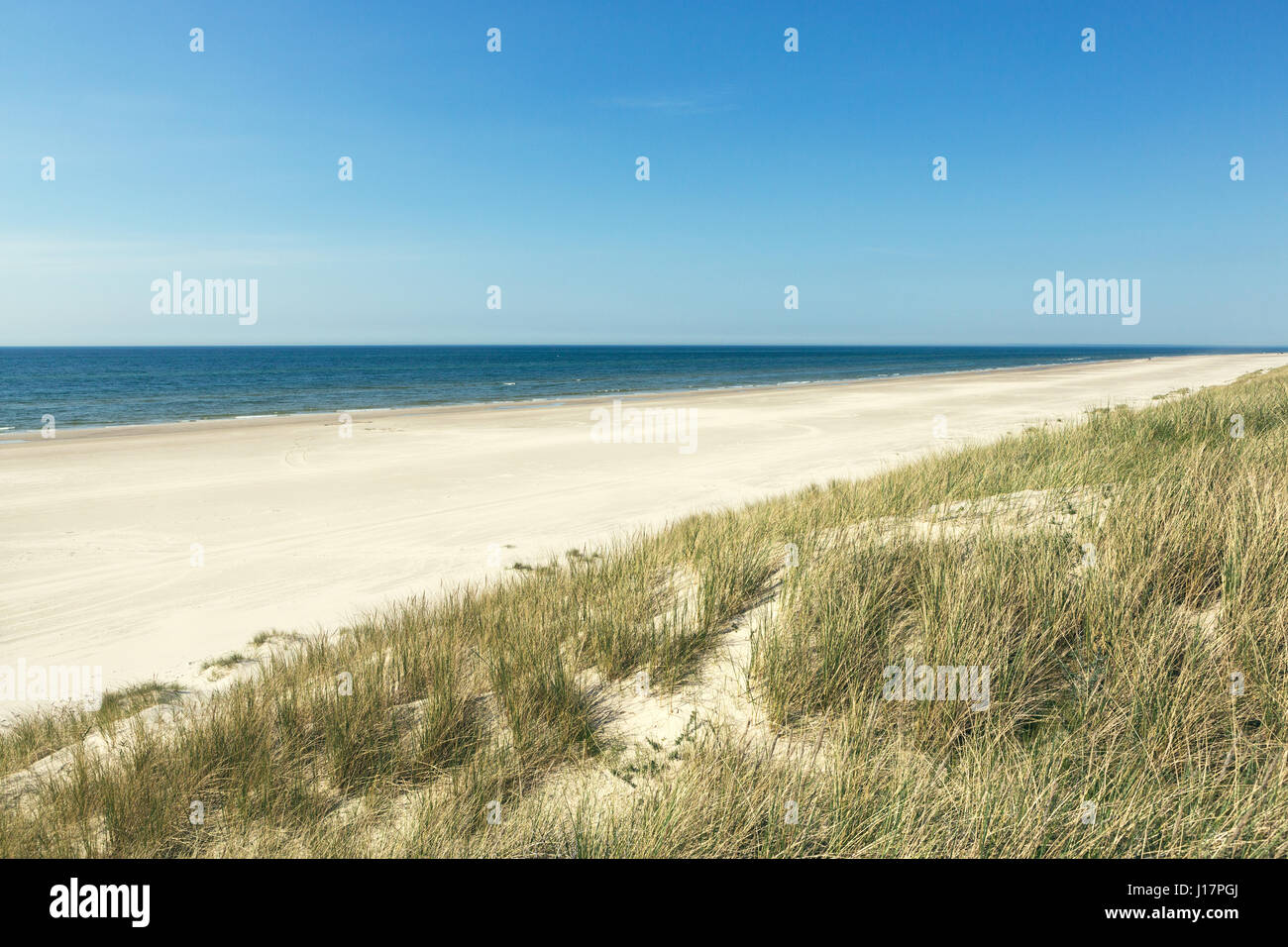 Lonely beach in summer Stock Photo - Alamy