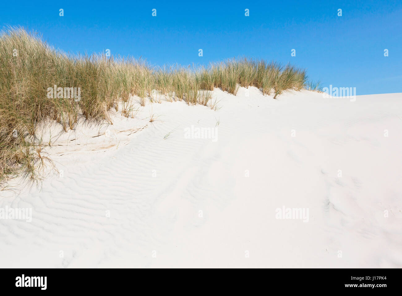 Beautiful white sand with green grass and blue sky Stock Photo - Alamy