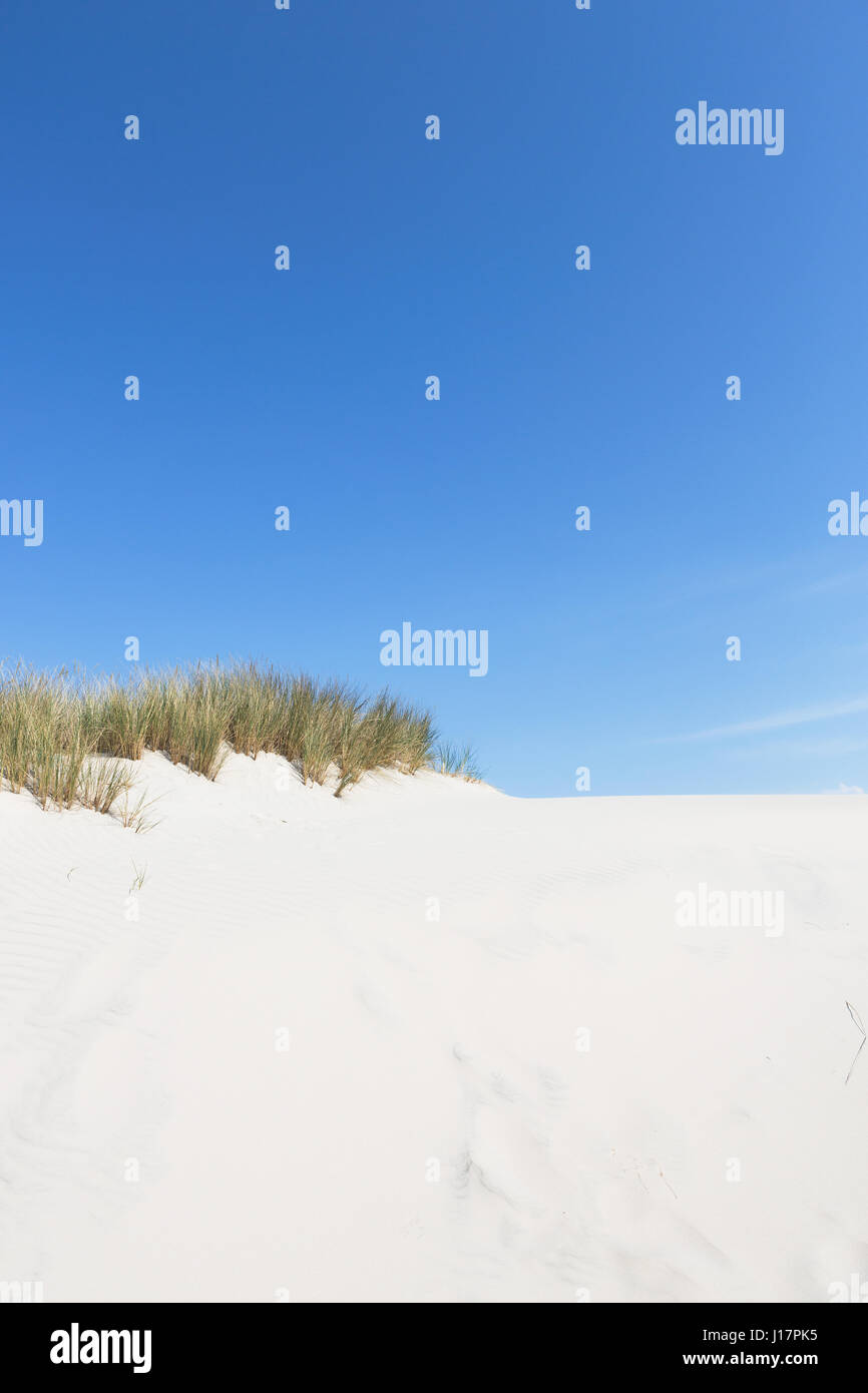 Beautiful white sand with green grass and blue sky Stock Photo - Alamy