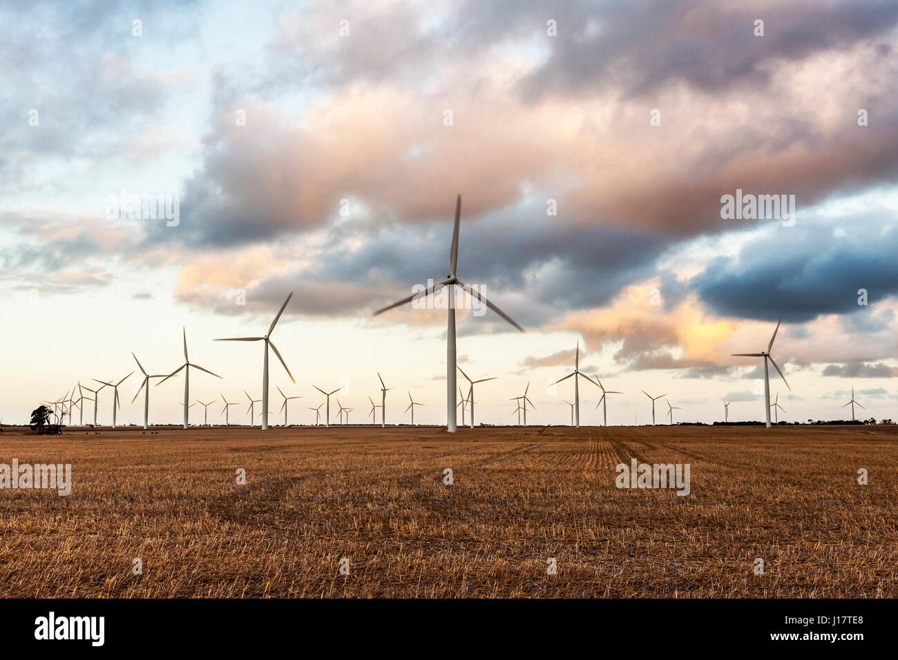 The Wattlepoint wind farm located on yorkes peninsula Stock Photo - Alamy