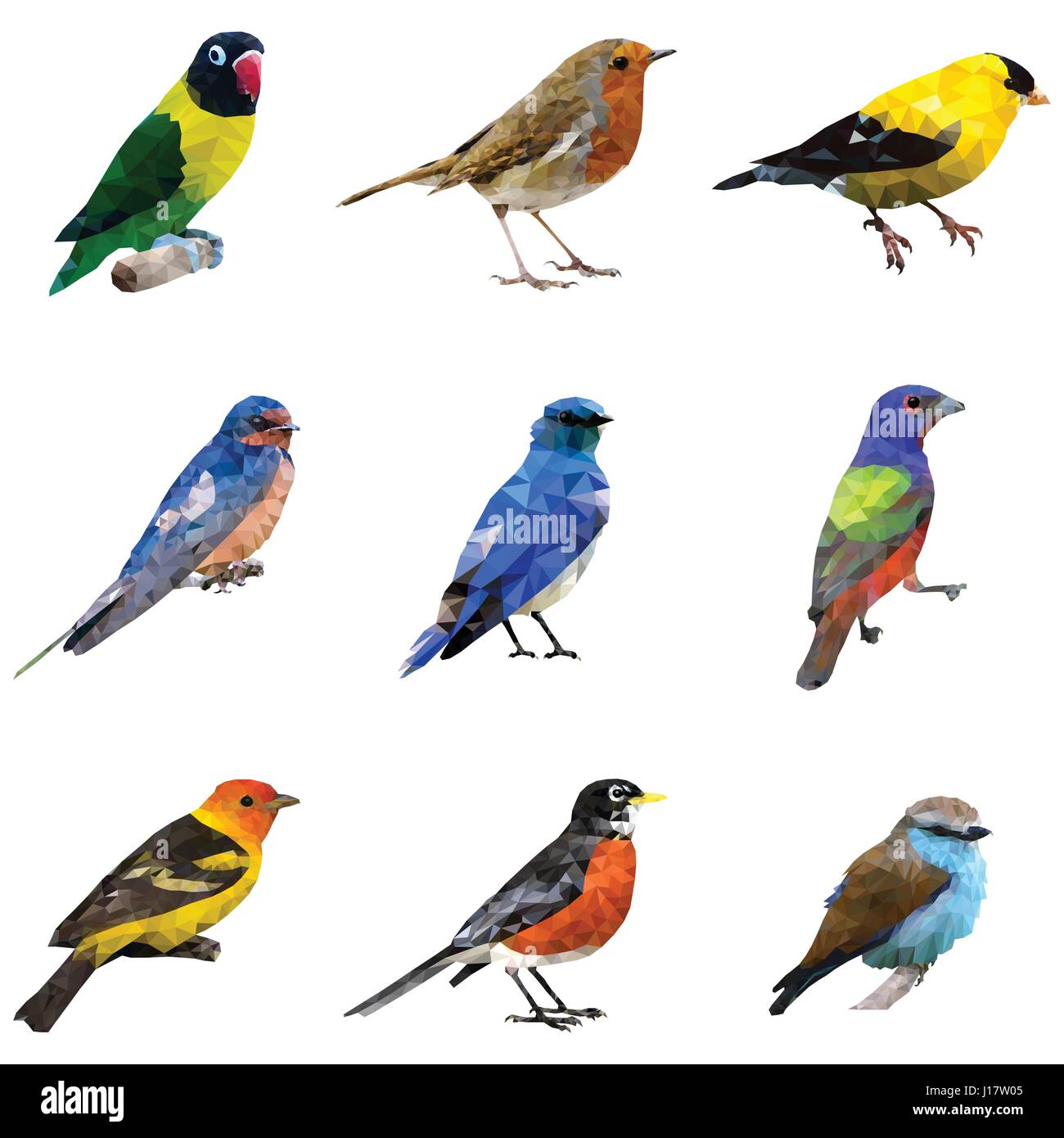 A vector illustration of different type of birds Stock Vector Image ...