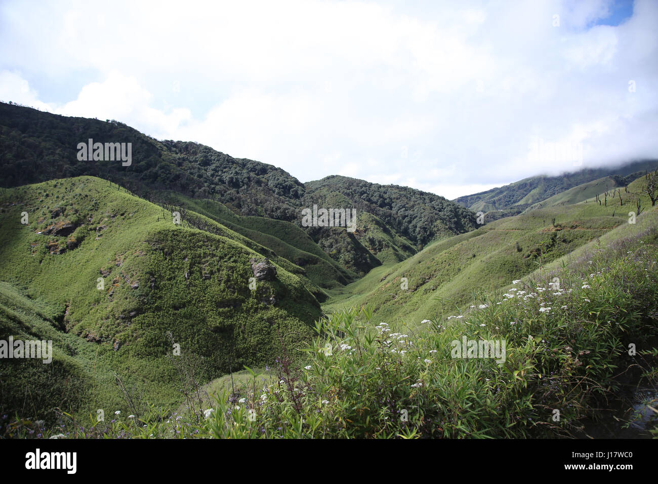 Nagaland manipur hi-res stock photography and images - Alamy