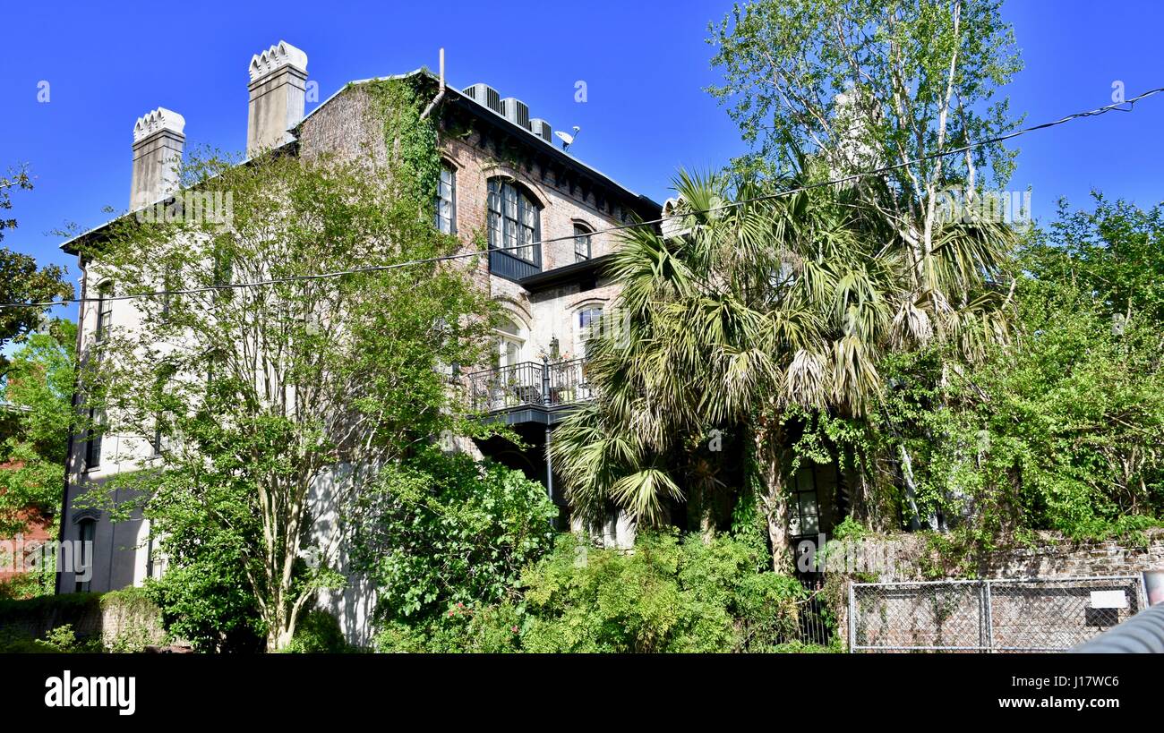 Beautiful colonial home hidden by tropical trees Savannah, georgia ...