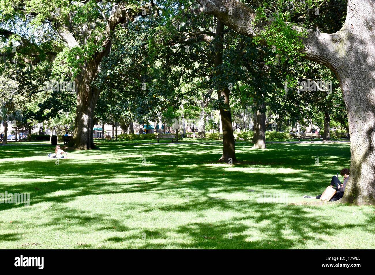 Forsyth park savannah georgia spring hi-res stock photography and ...