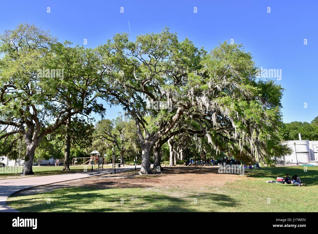 Savannah, Georgia Forsyth Park on a warm spring day Stock Photo - Alamy
