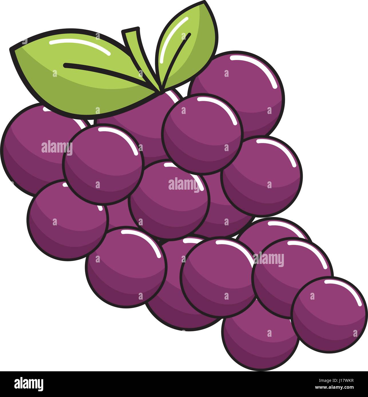 delicious grape fruits icon Stock Vector Image & Art - Alamy
