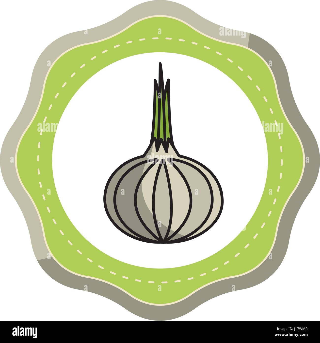 emblem sticker fresh onion vegetable icon Stock Vector Image & Art - Alamy