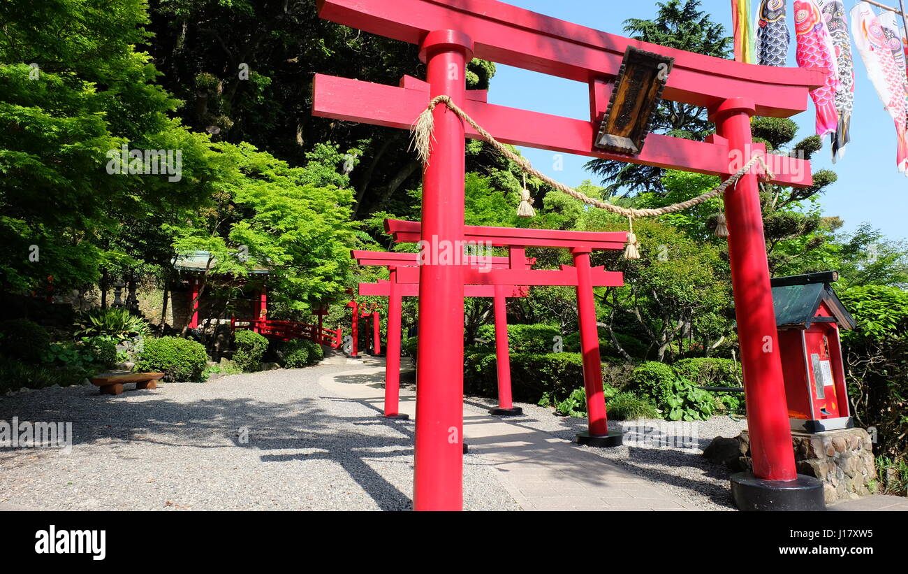 Gateway to shinto shrine hi-res stock photography and images - Alamy