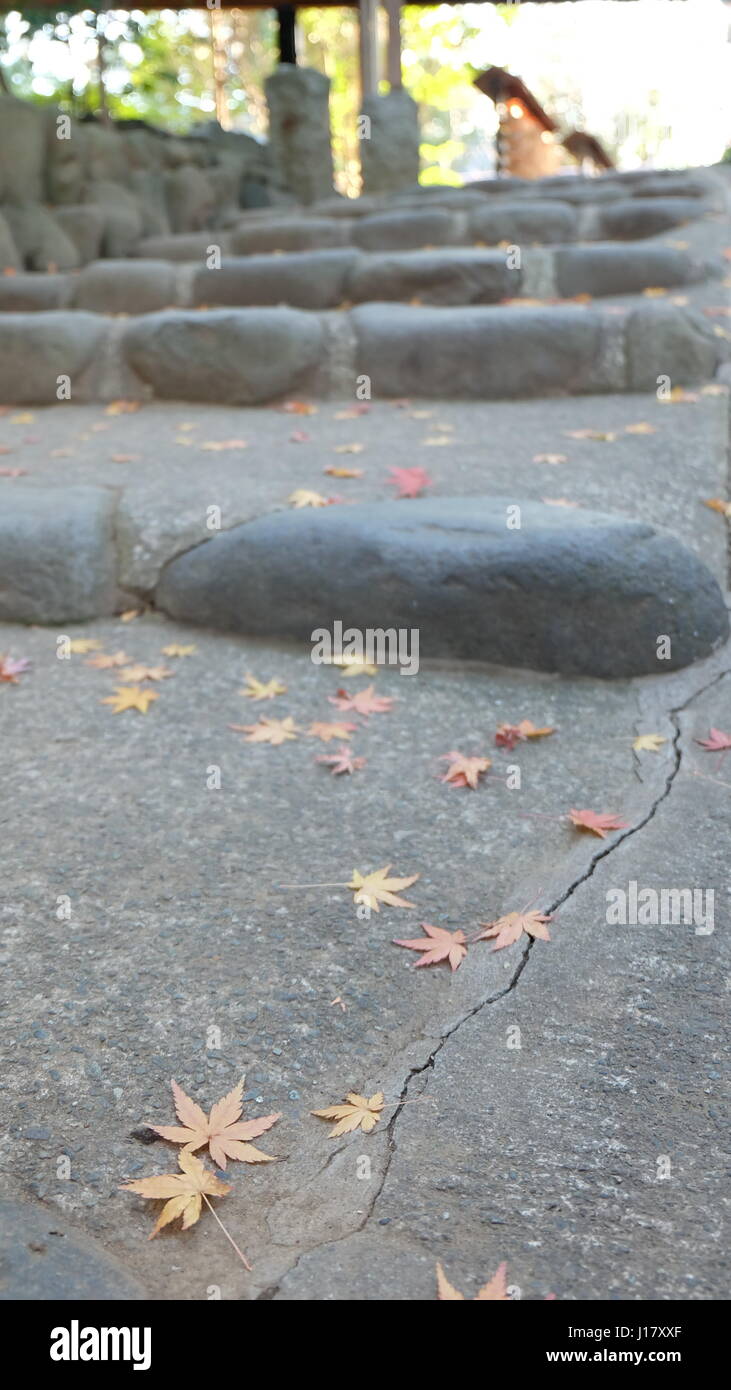 Stone steps japanese garden hi-res stock photography and images - Alamy