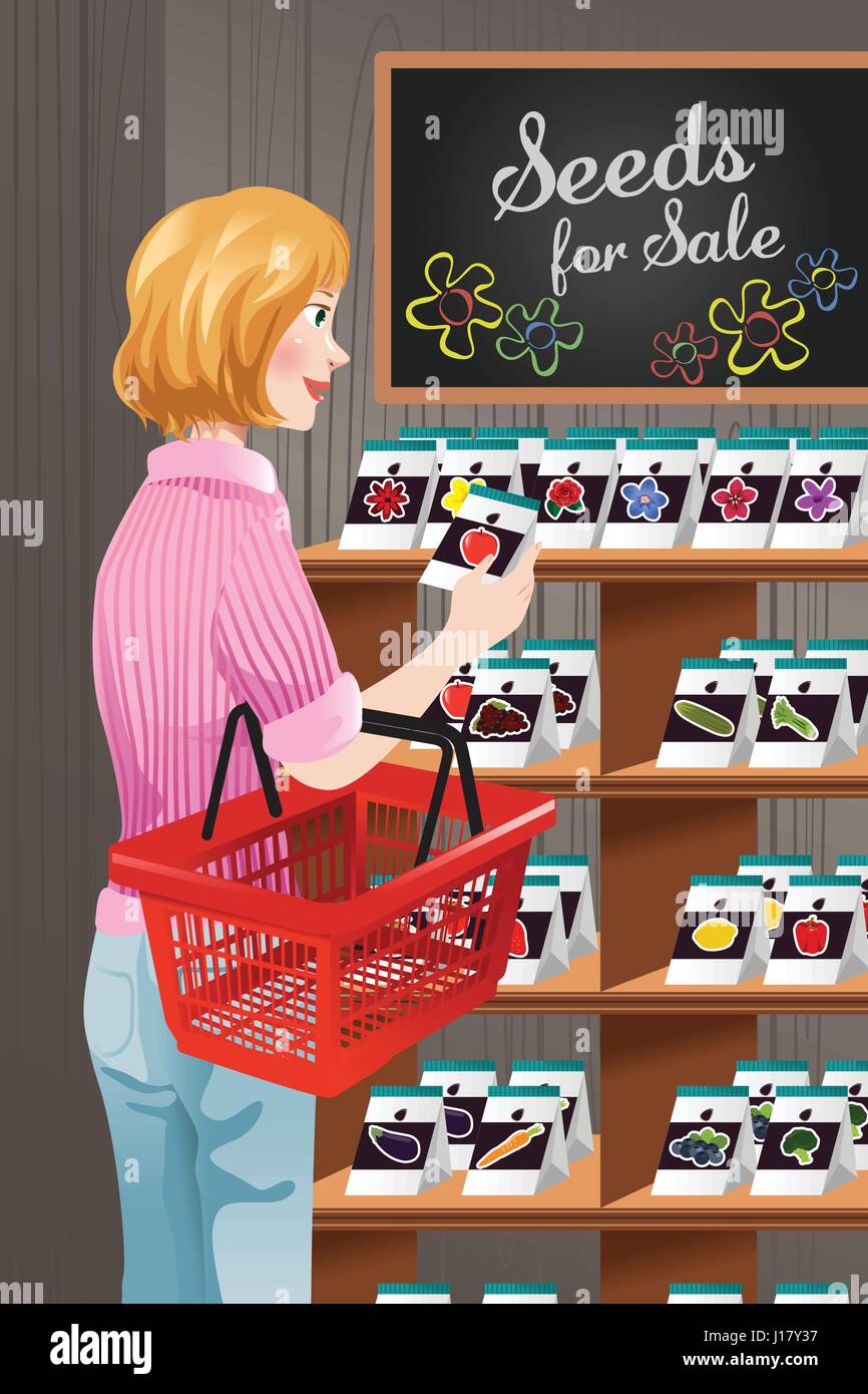 A vector illustration of woman choosing the seed at seed store for ...