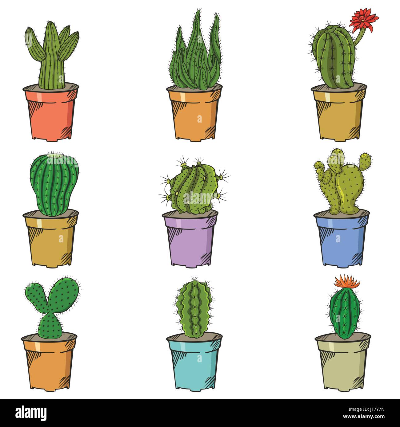A Vector Illustration Of Different Types Of Cactus Stock Vector Image