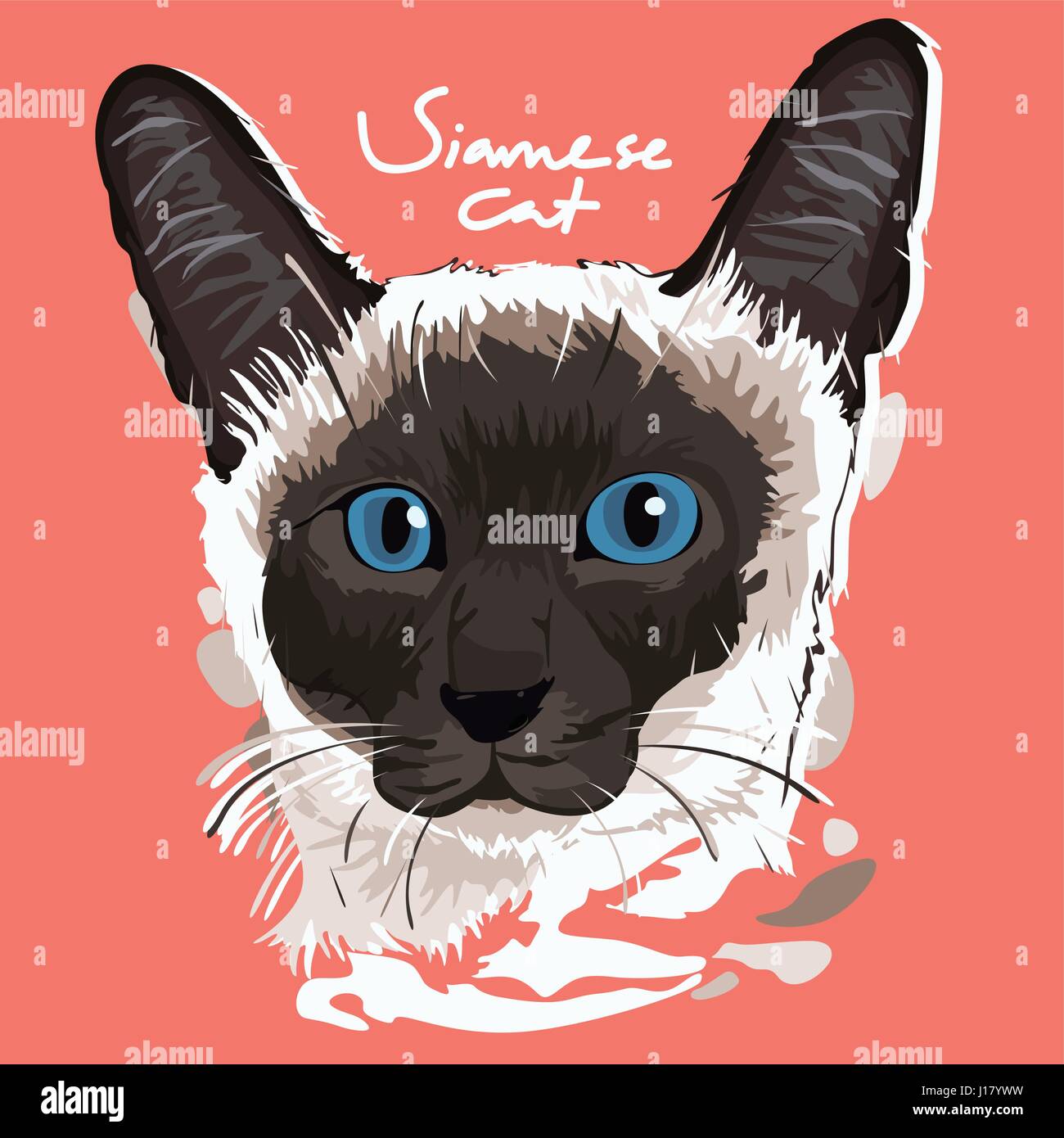 A vector illustration of Siamese Cat Painting Poster Stock Vector Image ...
