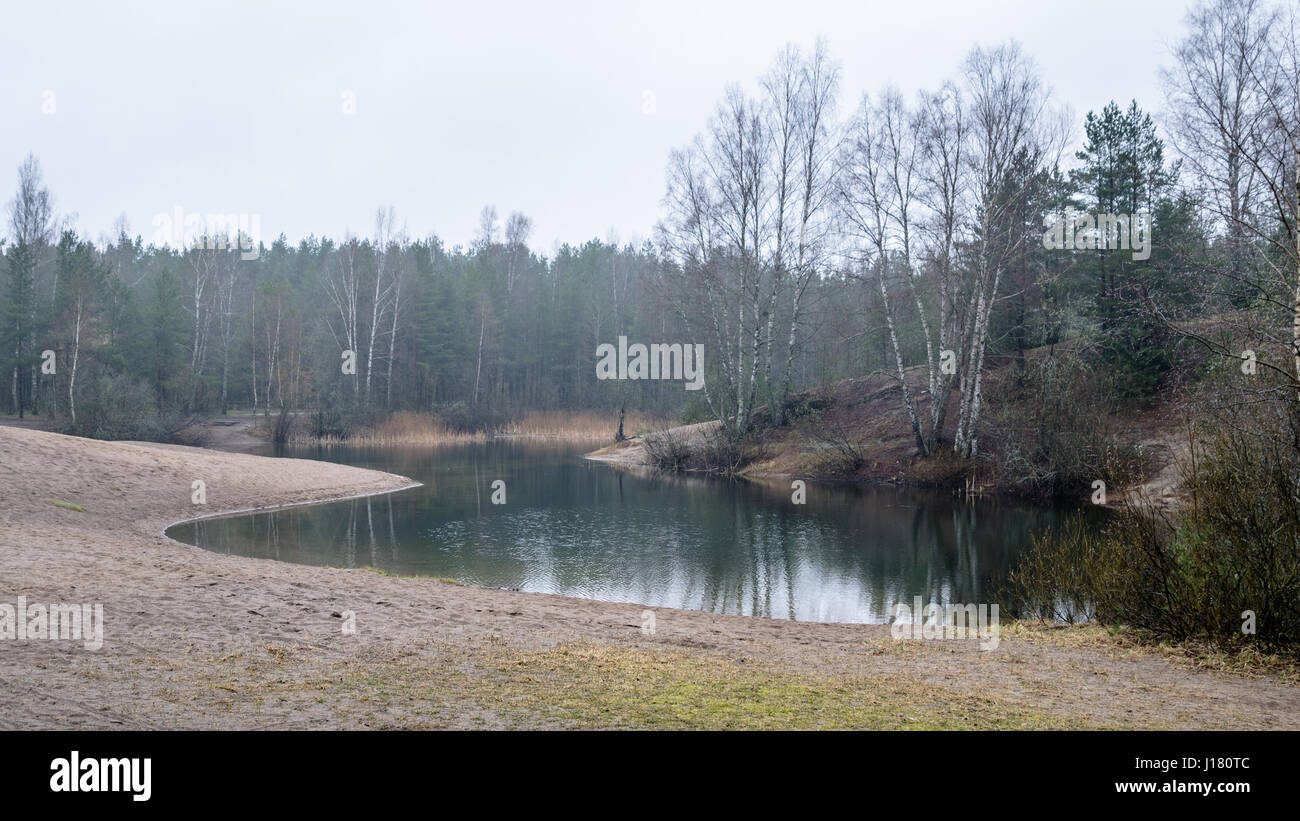 Foggy spring landscape in the forest lake Stock Photo - Alamy