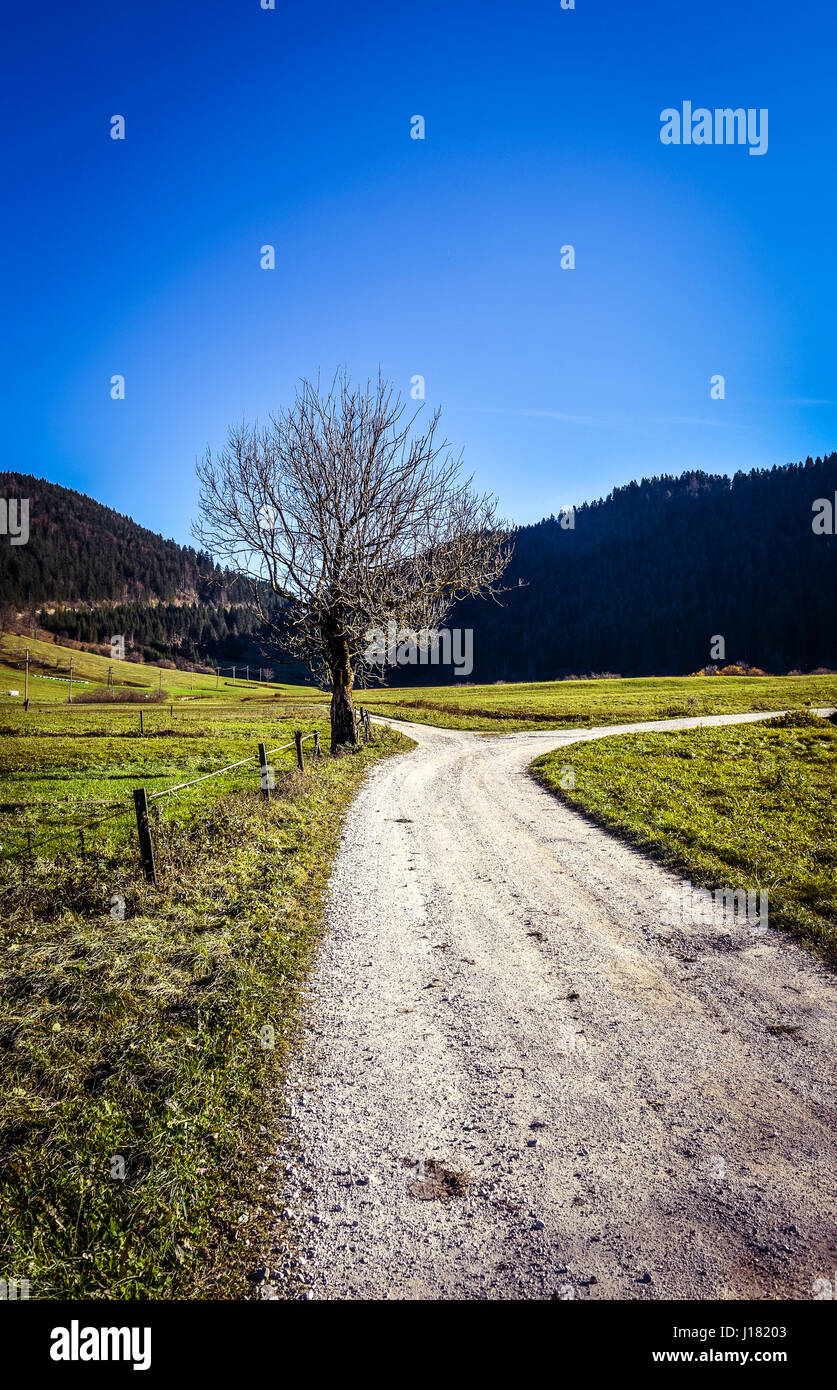 Country road and fields with crossroad and a tree. Countryside McAdam ...