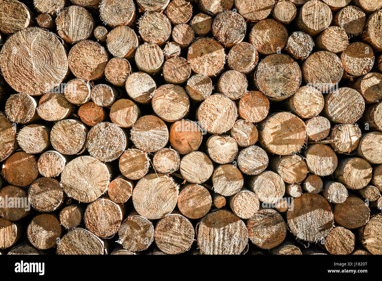 Pile or stack of natural fire wood logs texture background. Abstract ...