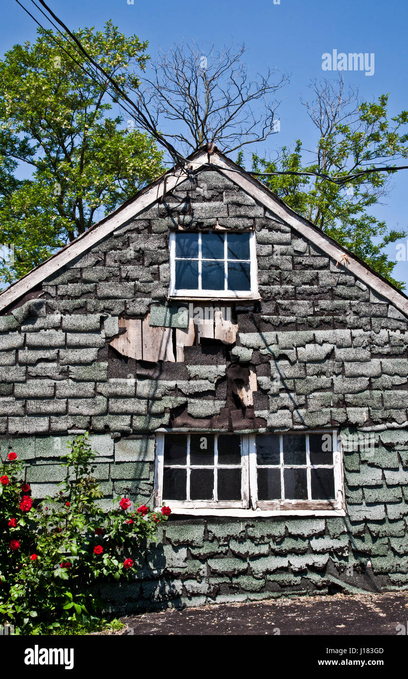 Amish bush hi-res stock photography and images - Alamy