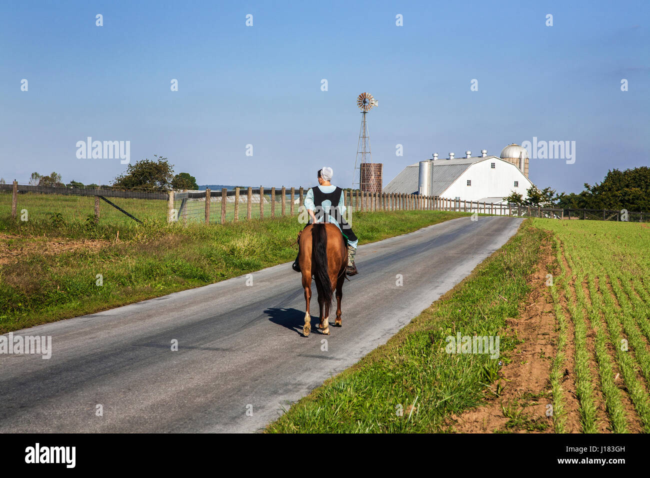 Amish young lady riding a horse on a rural Amish farm country road with ...