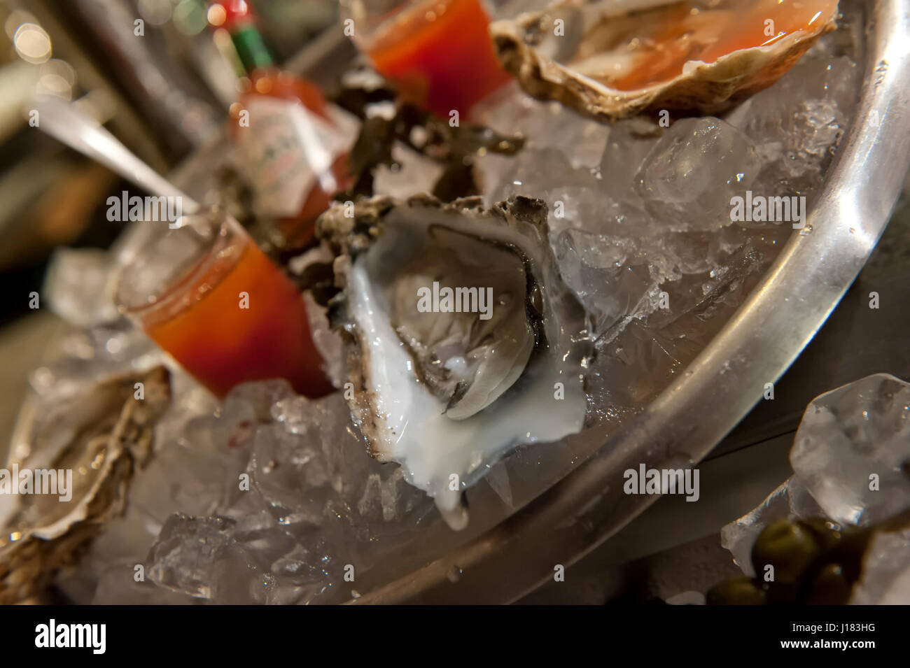 Oysters dozen raw oysters hi-res stock photography and images - Alamy