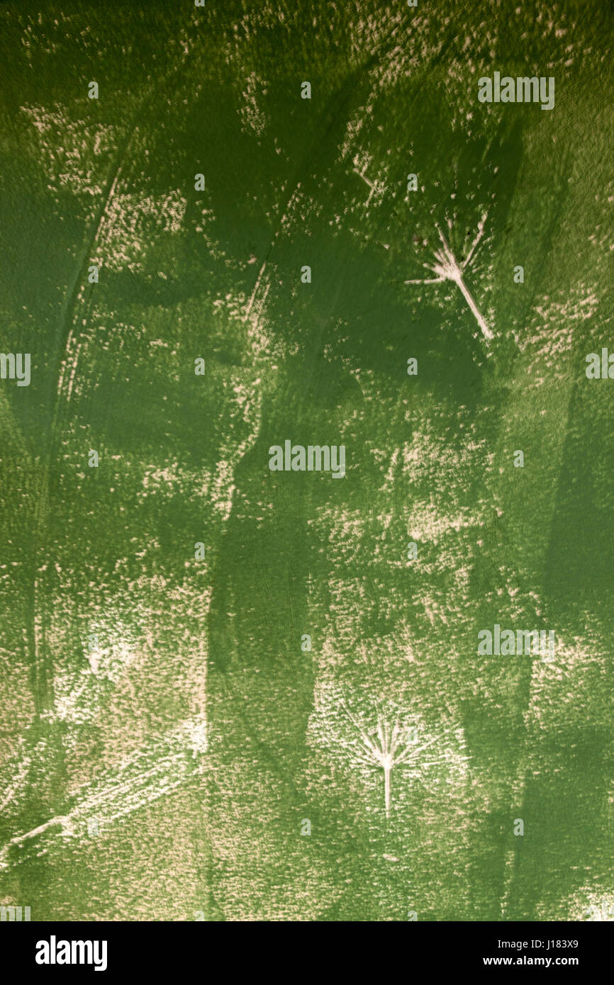 Texture and background of wite bare concrete wall painted green color ...