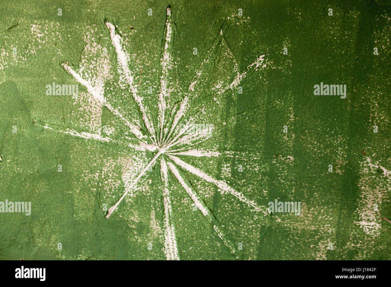 Texture and background of wite bare concrete wall painted green color ...