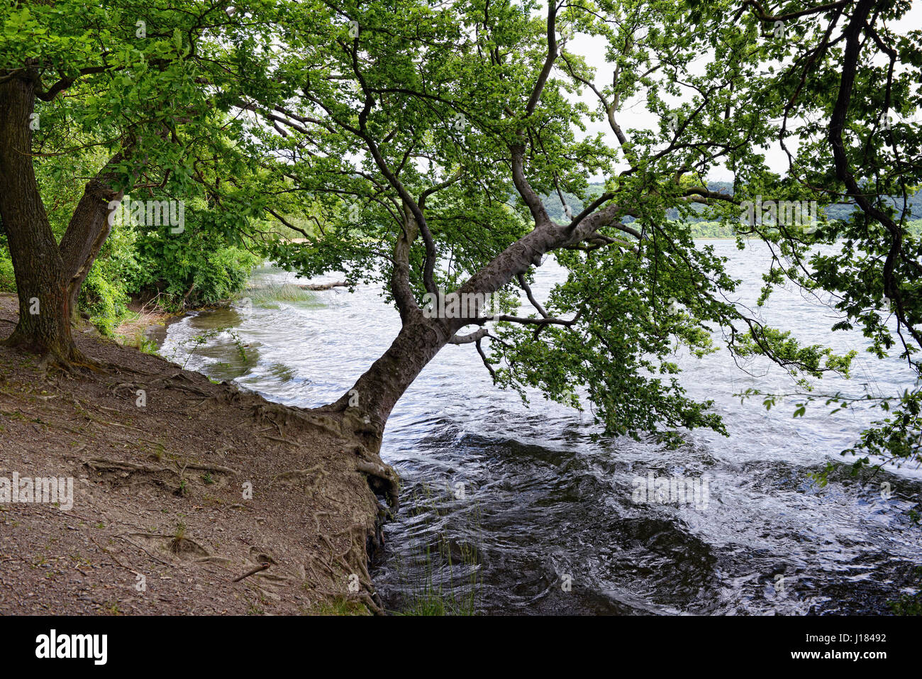 waves on Laach Lake at eifel region. old caldera of volcano (Rhineland ...