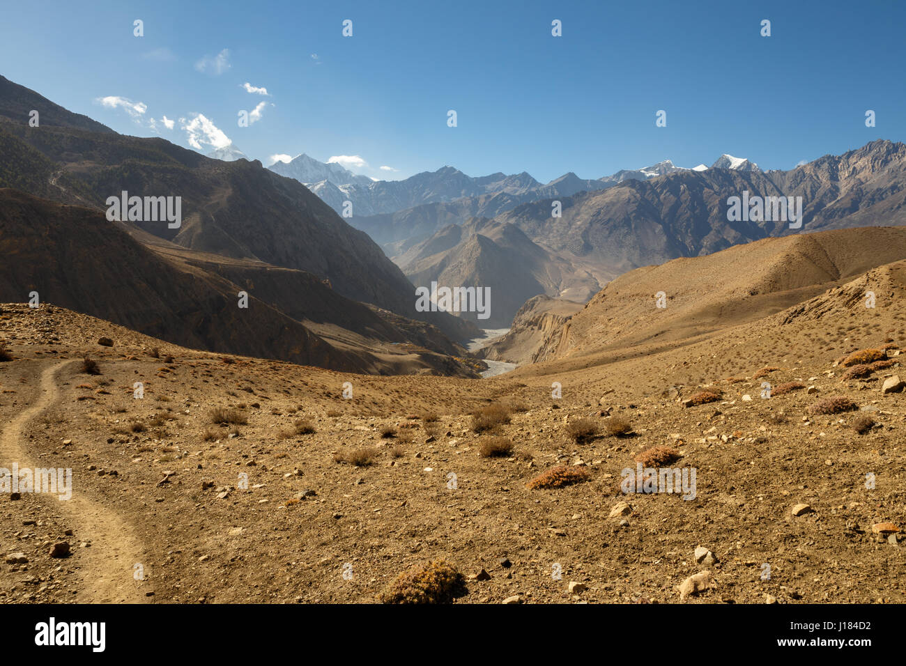 Himalaya beauty hi-res stock photography and images - Alamy