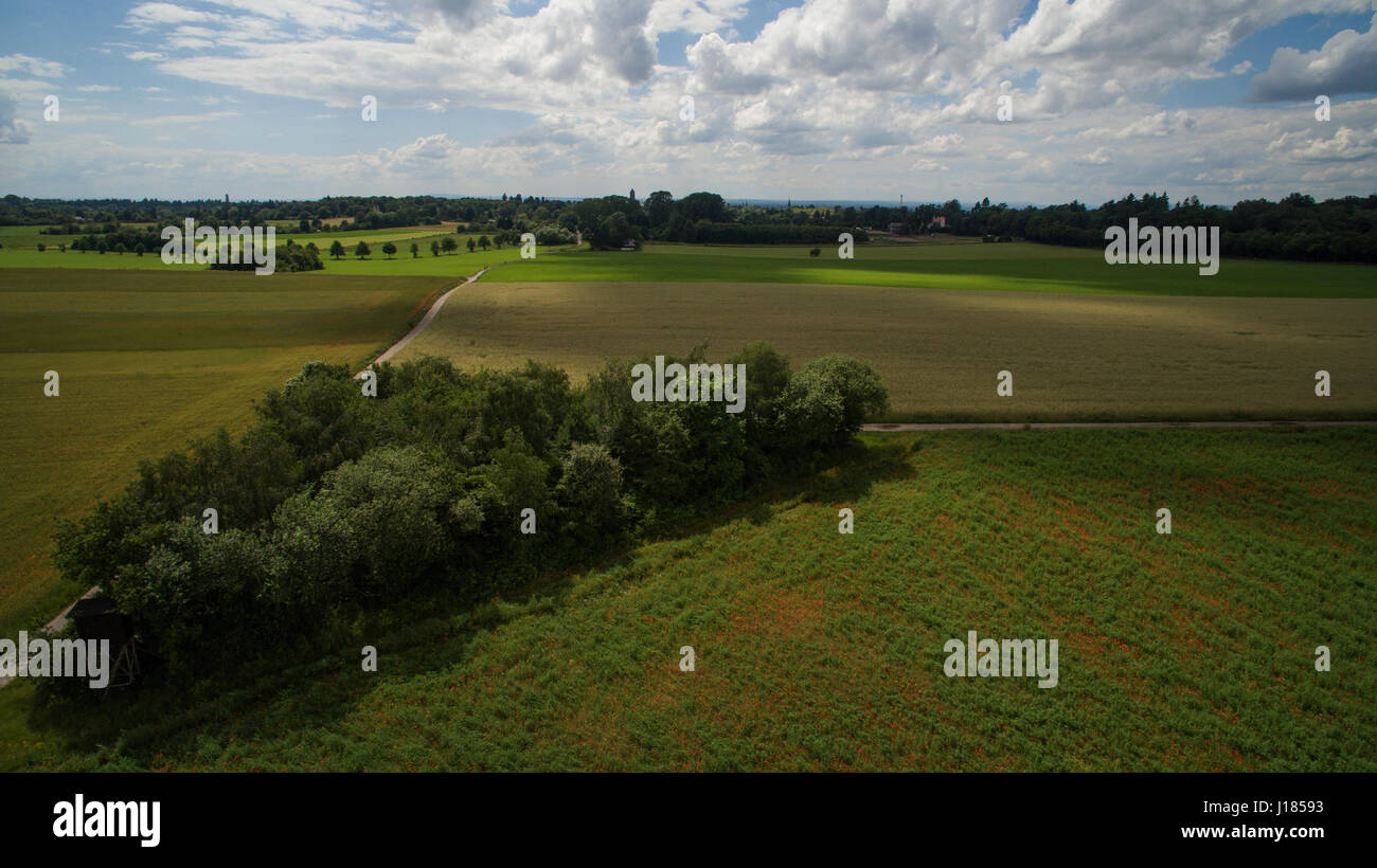 Aerial view of summer field Stock Photo - Alamy