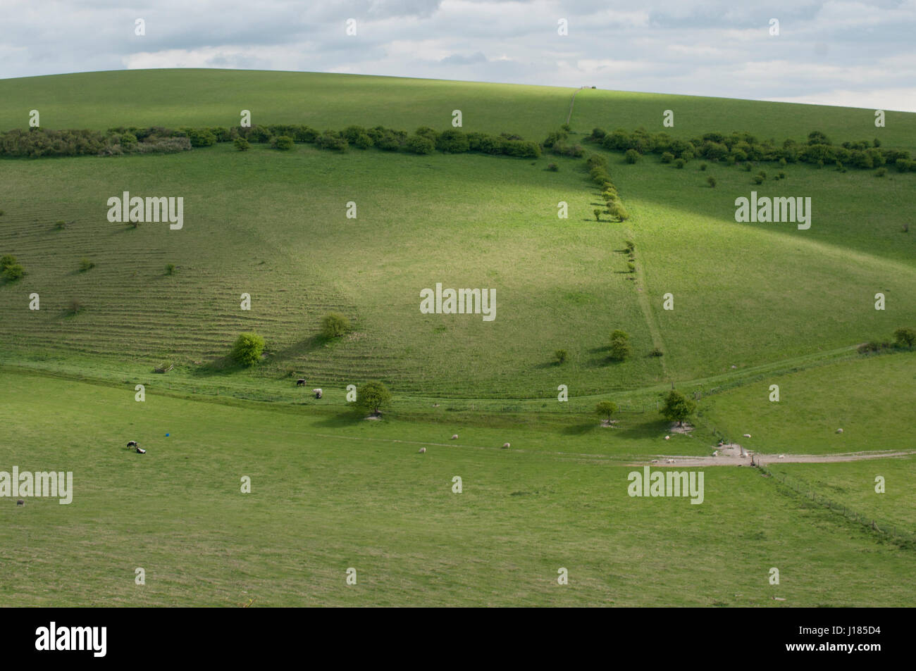 Sussex Downs near Lewes Stock Photo - Alamy