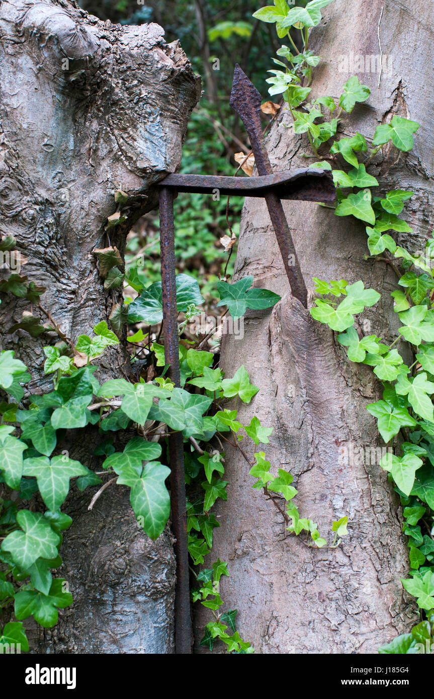 Lewes, Sussex . A tree grows through a metal spiked fence Stock Photo ...
