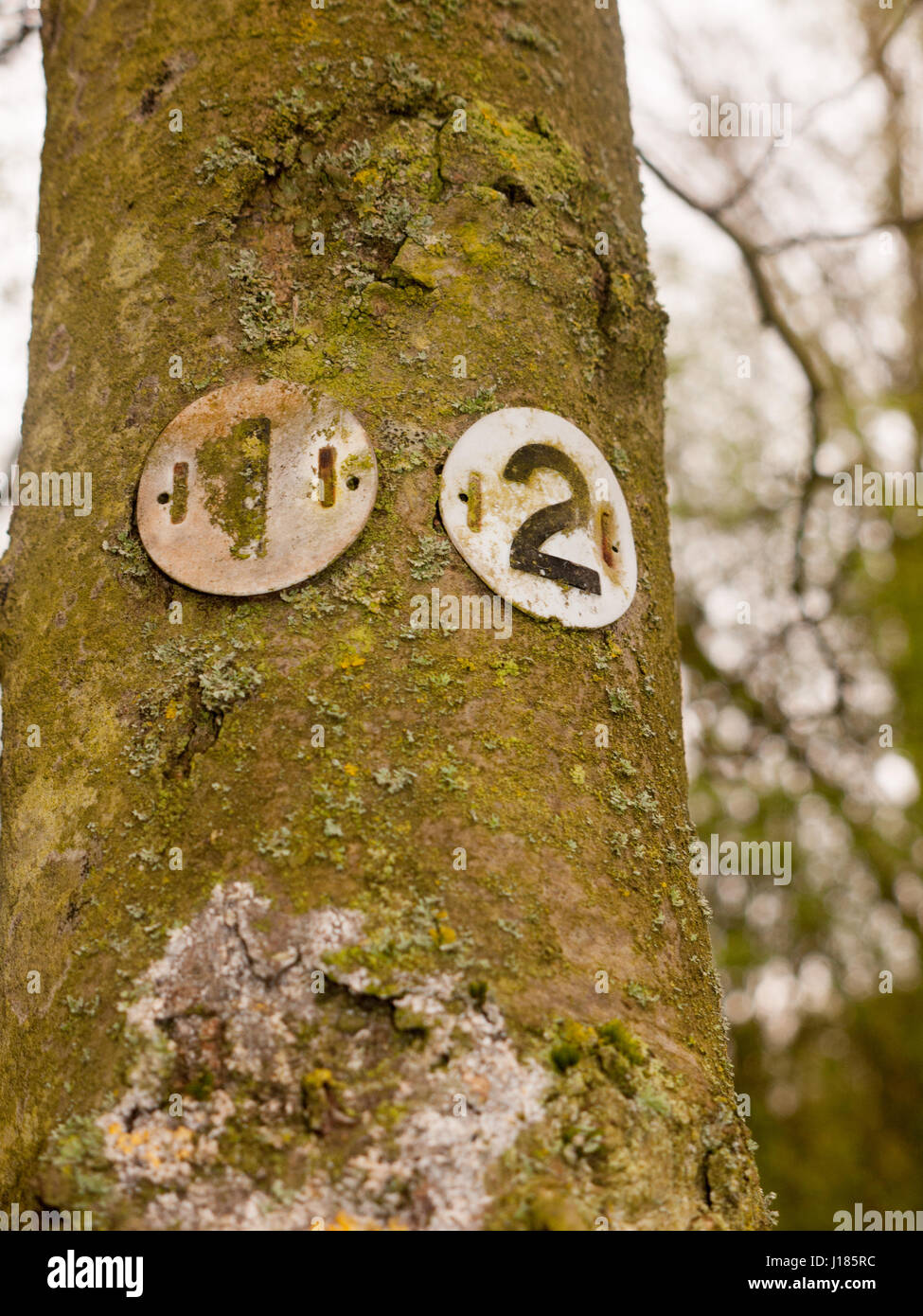 Metal tagging plates hi-res stock photography and images - Alamy