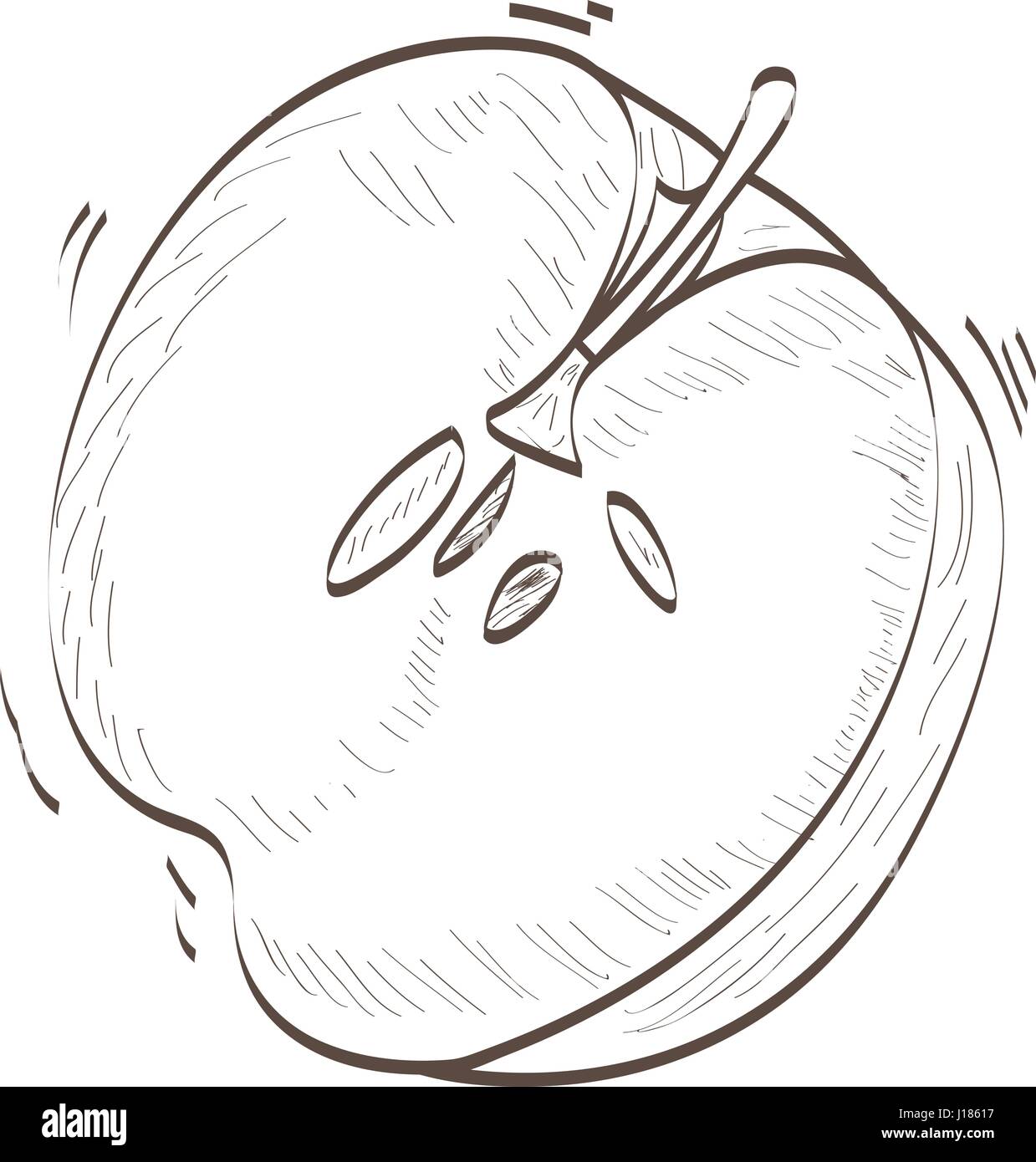 Isolated apple cut outline Stock Vector Image & Art - Alamy