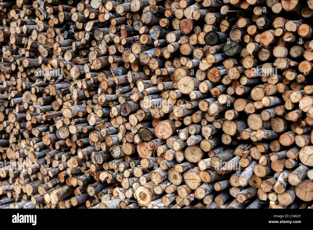 Closeup detail of the tree logs Stock Photo - Alamy