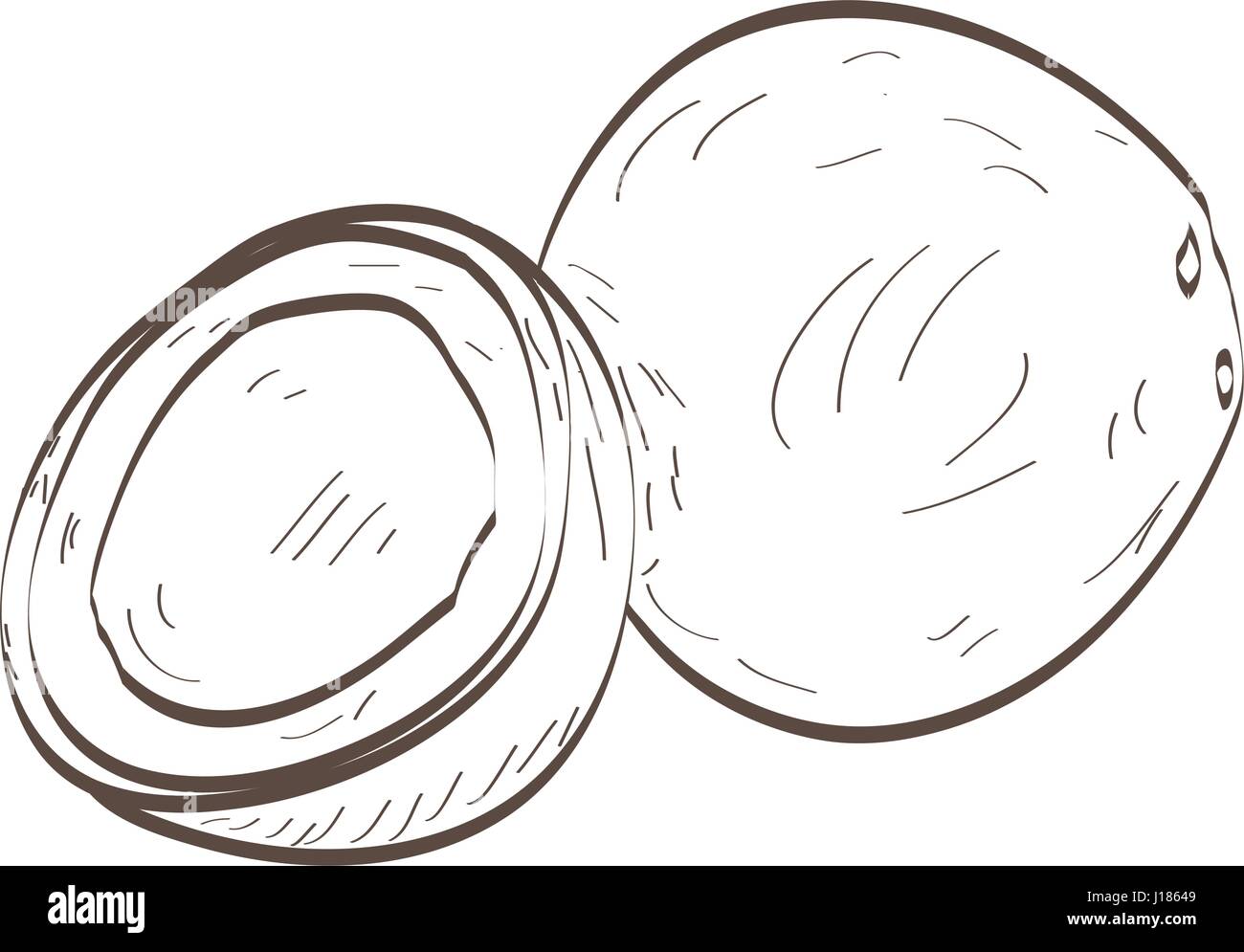 Niyog Clipart Pictures