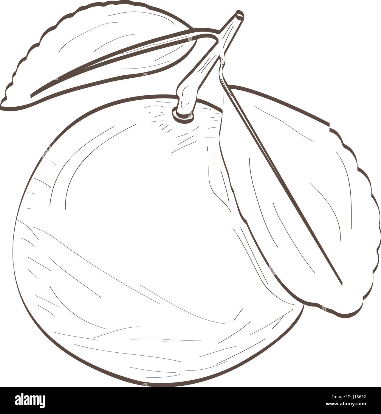 Orange outline Stock Vector Images - Alamy