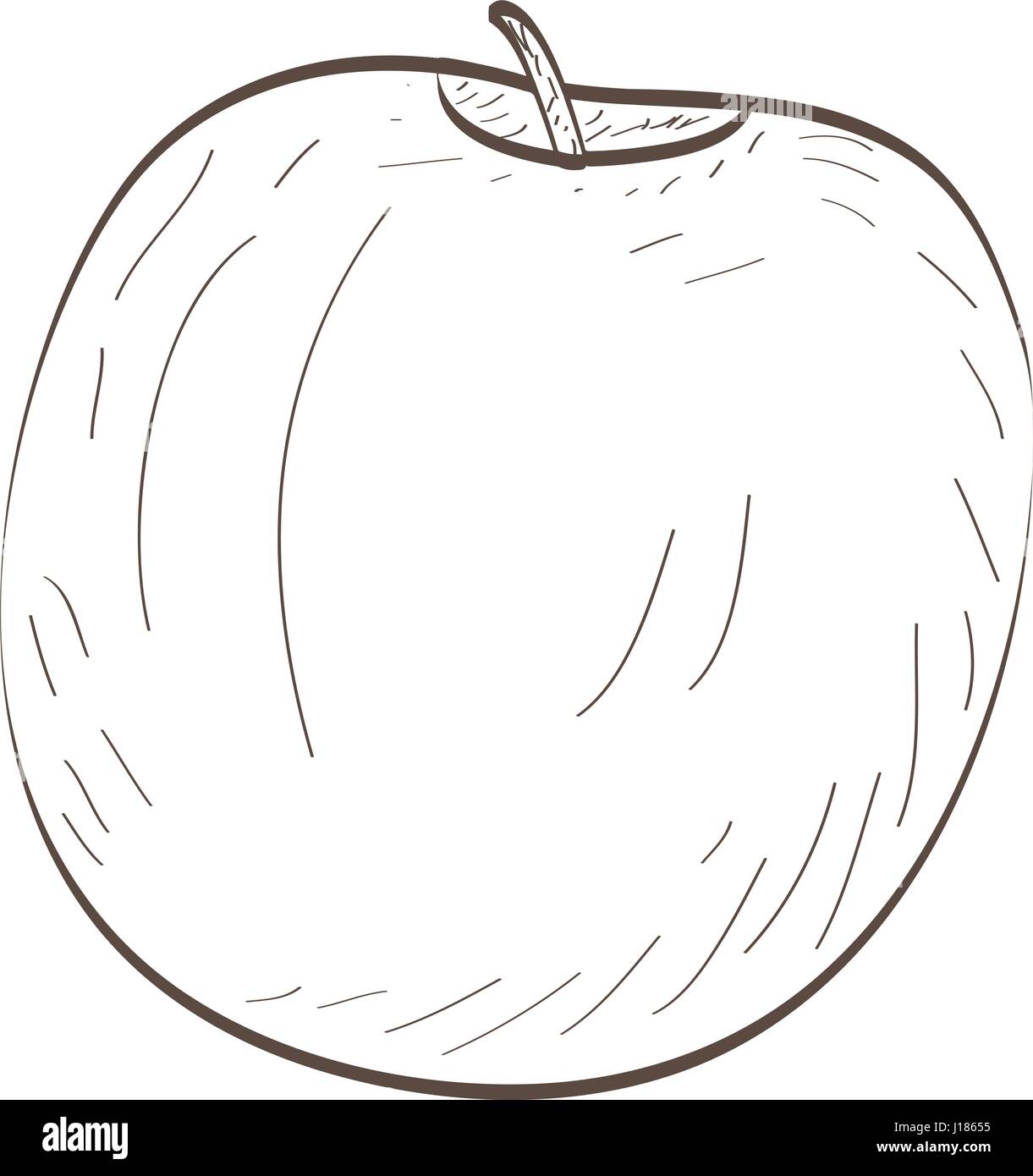 Isolated apple outline Stock Vector Image & Art - Alamy