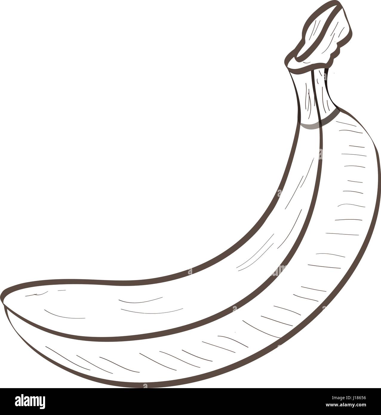 Banana Outline Drawing