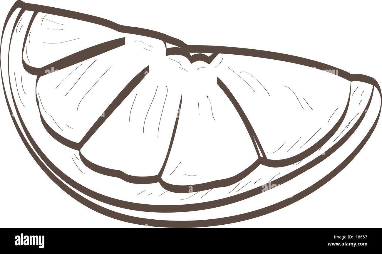 Isolated orange cut outline Stock Vector Image & Art - Alamy