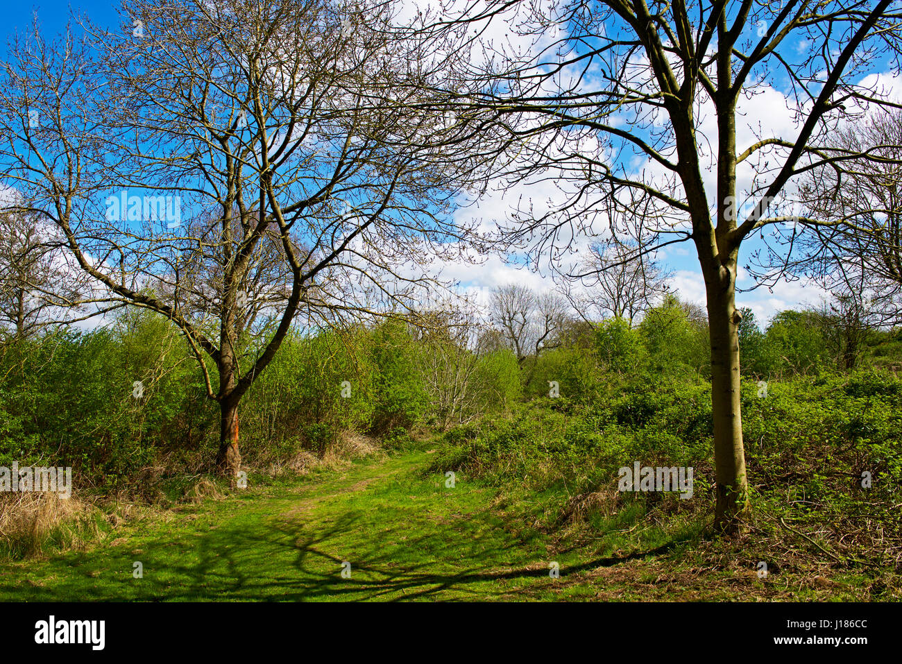 Fingringhoe uk hi-res stock photography and images - Alamy