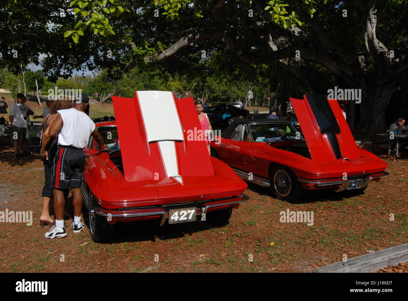 classic retro Auto Show Stock Photo - Alamy