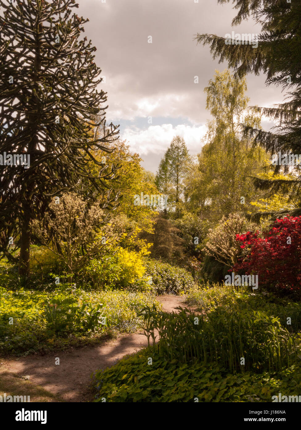 A Gorgeous and Scenic View with A garden in Spring with Lots of Light ...